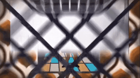 Record Crates GIFs - Get the best GIF on GIPHY