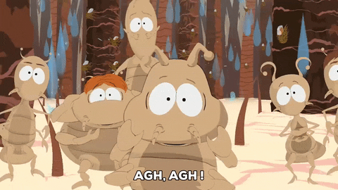 Panic Lice GIF by South Park - Find & Share on GIPHY