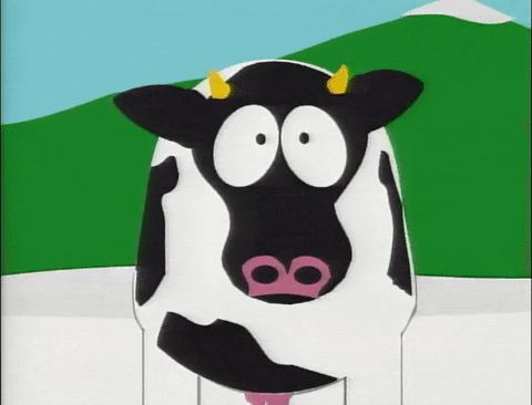 Ginger-ninja GIFs - Find & Share on GIPHY