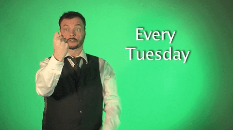 Every Tuesday GIFs - Get the best GIF on GIPHY