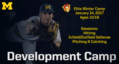 Michigan Baseball Camps GIFs - Get the best GIF on GIPHY