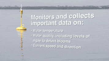 Water Level GIFs - Find & Share on GIPHY