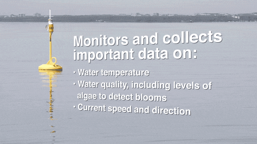 Important Data GIFs - Get the best GIF on GIPHY