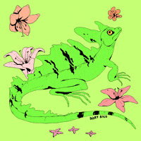 Basilisk Harry Potter Gif