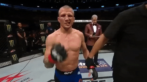 GIF by UFC - Find & Share on GIPHY
