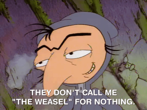The-weasel GIFs - Get the best GIF on GIPHY