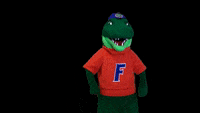 Gator Chomp Gif