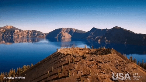 America Wild Oregon GIF by Visit The USA - Find & Share on GIPHY