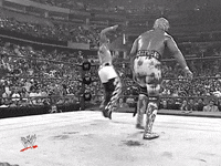 Hbk Sweet Chin Music Gif