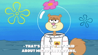 Spongebob Dried Up Gif
