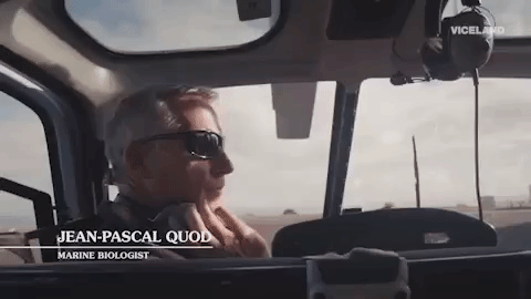 Marine-biologist GIFs - Get the best GIF on GIPHY