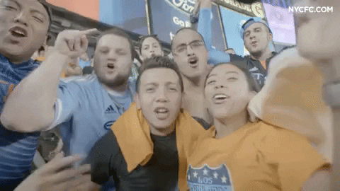 Soccer Fans GIF – Lostfollowers