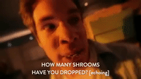 Workaholics Gif Shrooms
