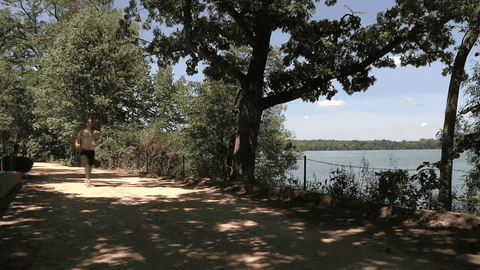 Lakeshore-path GIFs - Get the best GIF on GIPHY