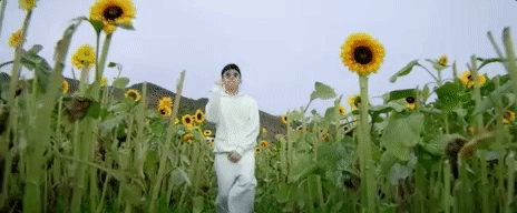 Glow Like Dat Flower Field GIF by Rich Brian - Find & Share on GIPHY