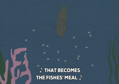 Fish-meal GIFs - Get the best GIF on GIPHY