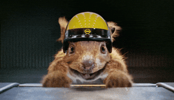 Wind Animations GIFs - Find & Share on GIPHY