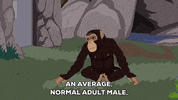 Monkey Scratching GIFs - Find & Share on GIPHY