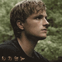 Catching Fire Logo Gif