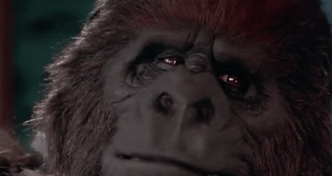 Ape Smile GIFs - Get the best GIF on GIPHY