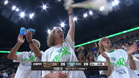 Basketball Wnba Fan GIF by WNBA - Find & Share on GIPHY