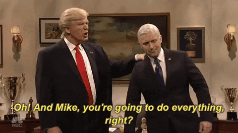 Donald Trump Snl GIF by Saturday Night Live - Find & Share on GIPHY