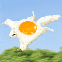 Flying Squirrel Gif