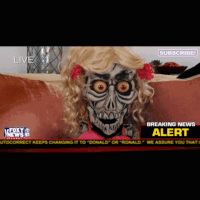 Achmed The Dead Terrorist Gif