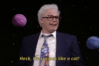Will Ferrell Koebel Gif Will Ferrell Goulet GIFs | Tenor