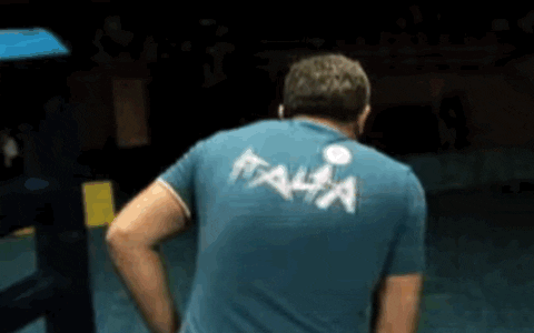 Pugilato GIFs - Get the best GIF on GIPHY