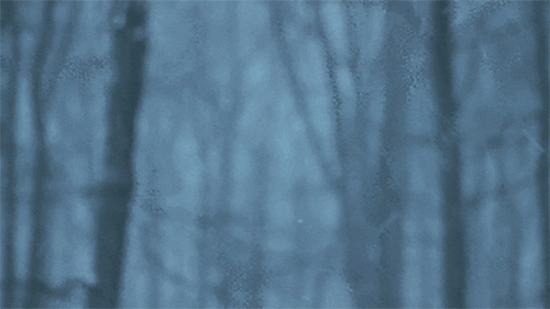 Snow-fall GIFs - Get the best GIF on GIPHY