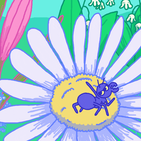 Butt Clap GIFs - Get the best GIF on GIPHY