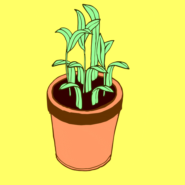 Plant Gif Animated