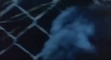 Warrior Cat GIFs - Get the best GIF on GIPHY