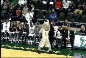 Happy Boogie GIF by USF Athletics - Find & Share on GIPHY