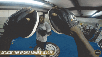 Bronze Bomber GIFs - Find & Share on GIPHY