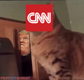 Cnn GIFs - Get the best GIF on GIPHY