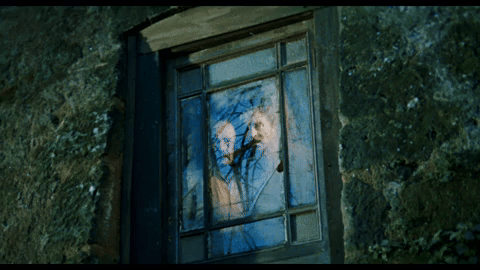 Watching Mario Bava GIF by Kino Lorber - Find & Share on GIPHY