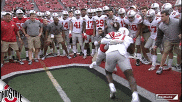Ohio State Buckeyes #Gobucks GIF by Ohio State Athletics - Find & Share ...