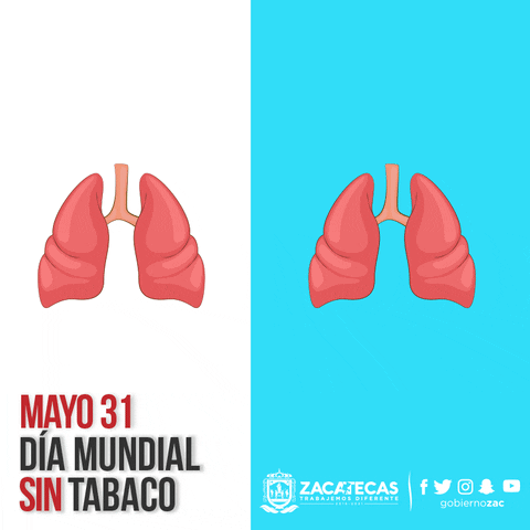31 DE MAYO "DÍA MUNDIAL CONTRA EL TABACO"