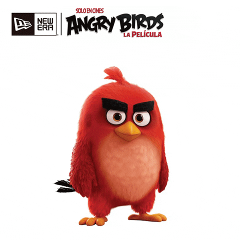 Wall Decals GIFs - Get the best GIF on GIPHY