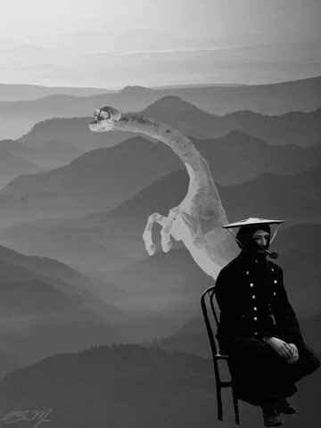 Digital Collage GIFs - Find & Share on GIPHY