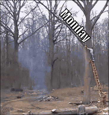 Monday No GIF by theCHIVE - Find & Share on GIPHY