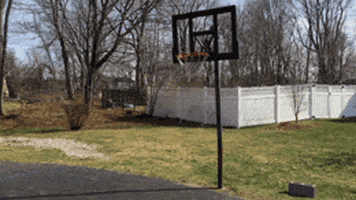 Never Fails GIFs - Get the best GIF on GIPHY