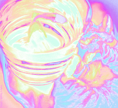 Pastel Color Cat GIFs - Get the best GIF on GIPHY