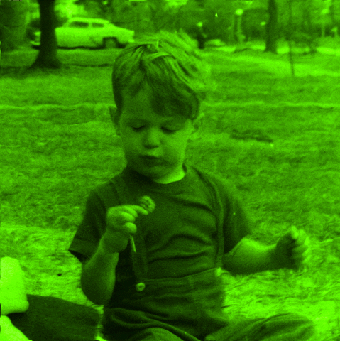 Flower Child GIFs - Find & Share on GIPHY