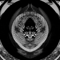 Black And White Flashing Gif