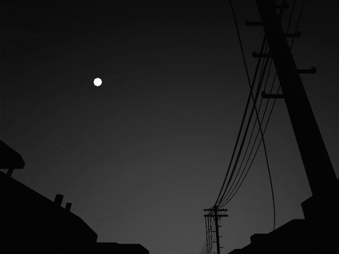 Telephone Wire GIFs - Get the best GIF on GIPHY