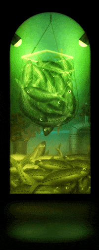 Fish GIF by Dino Sato - Find & Share on GIPHY