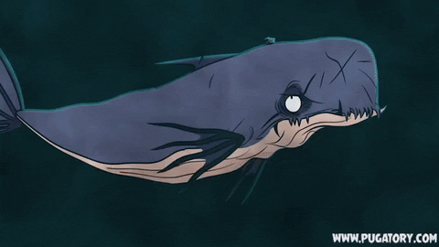 Giant Whale GIFs - Get the best GIF on GIPHY